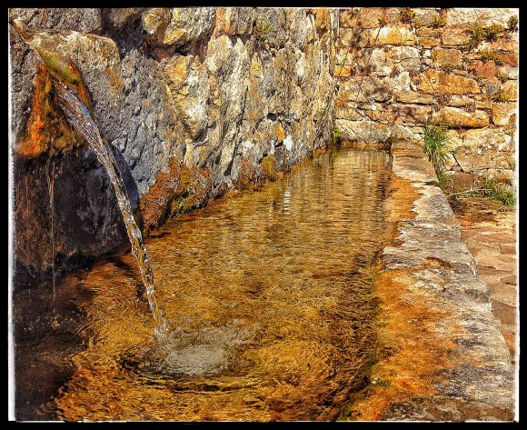 Senderos del Parque Nacional – Wild Iberian Nature